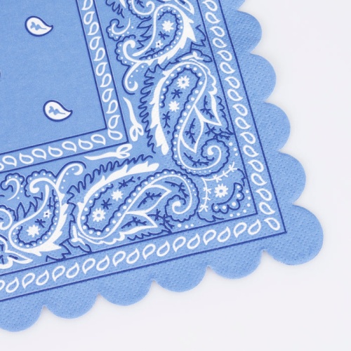 Western Bandana Print Large Paper Napkins By Meri Meri - Vibrant Home