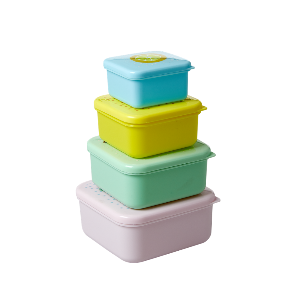 Set of 4 Small Food Boxes Fruit Printed Lids Rice DK - Vibrant Home